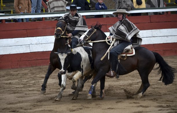 [Fotos] Rodeo y exposición de caballos en Parque Padre Hurtado de ...