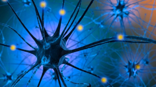 Una nueva técnica de neuroimagen muestra los efectos del LSD en el cerebro - Cooperativa.cl