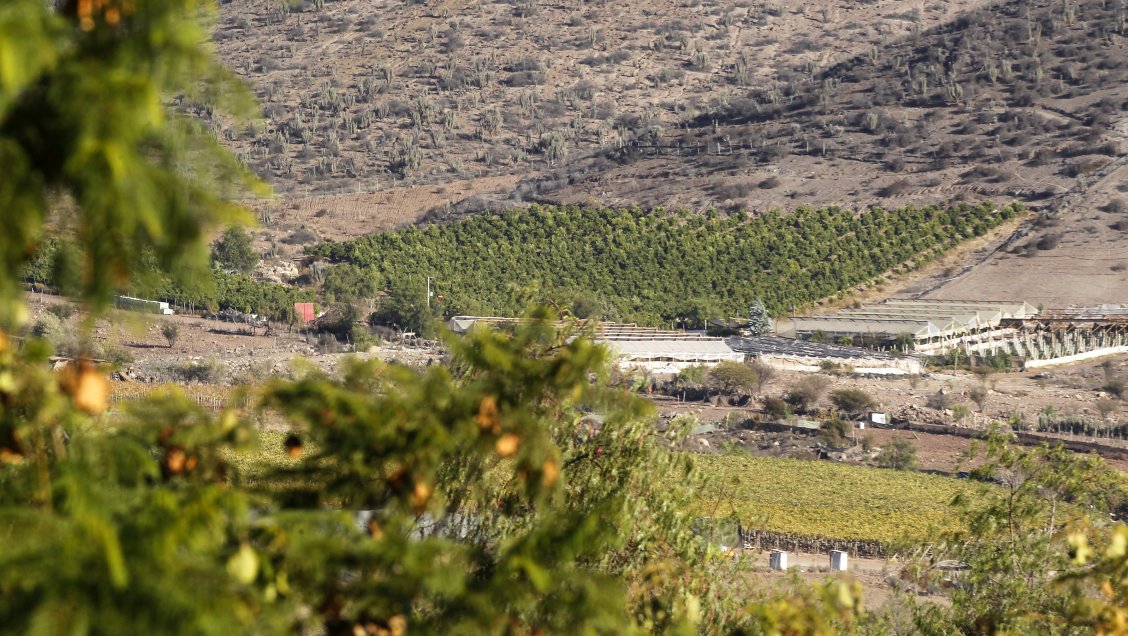 Capel advierte de estafa con su nombre a través de redes sociales ...