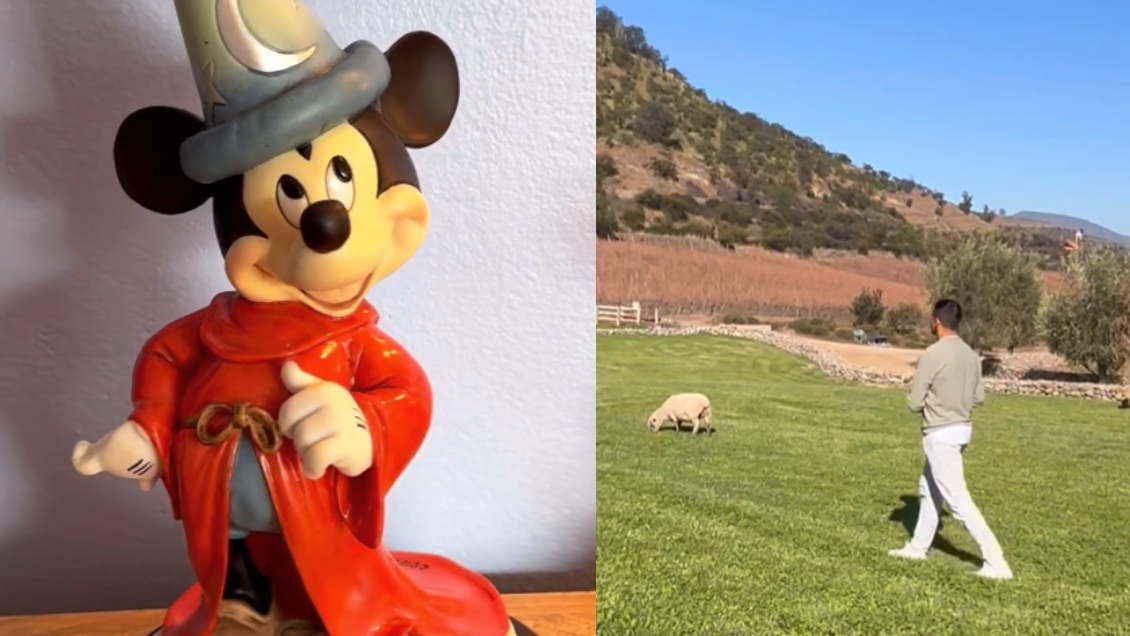 [Video] El tributo a Walt Disney y "El Rey León" de Alexis Sánchez ...