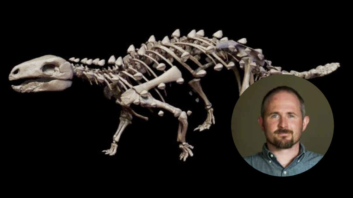 [Audio] Nicholas Pyenson, paleontólogo: La disciplina vive "un ...