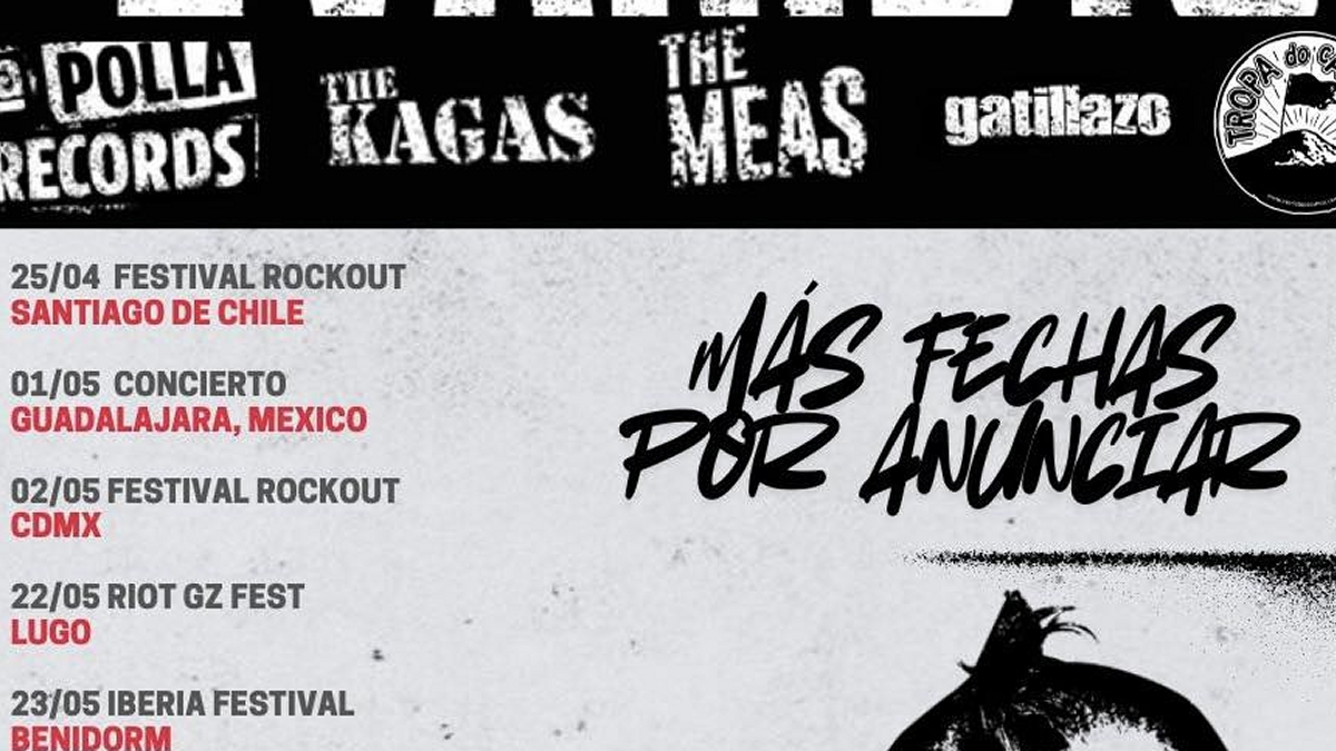 Vocalista de La Polla Records revela regreso del festival Rockout ...