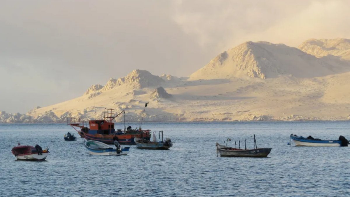 Histórico Tratado de Alta Mar entró en vigor para ofrecer más ...