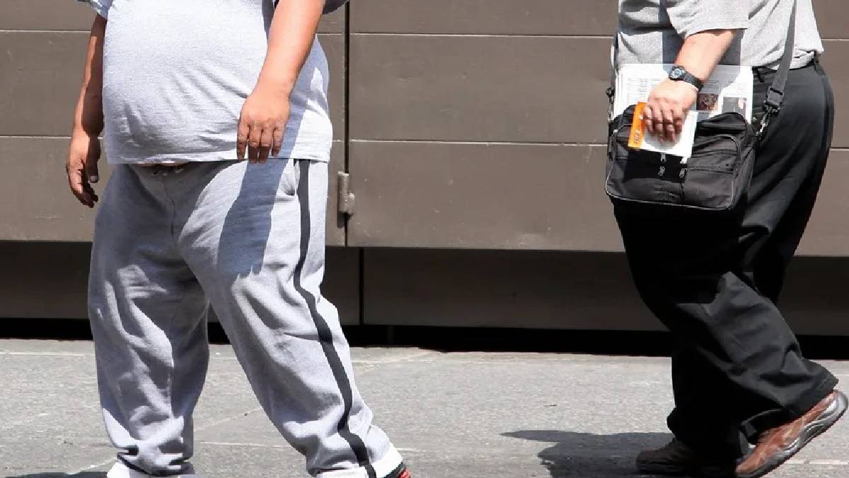 Una variante genética podría predisponer a la obesidad temprana en ...