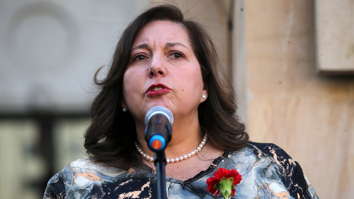 Vodanovic: La megarreforma es una receta que va a matar al enfermo ...
